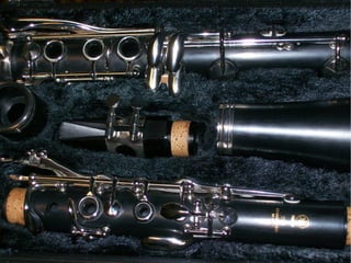 Visual Essay Multiple Intelligences | ODP