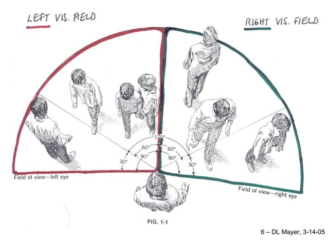 Visual field testing in pediatrics | PPT
