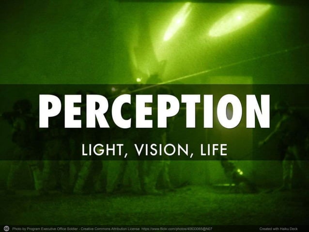 Visual perception- perceptional problems and learning disability | PPTX