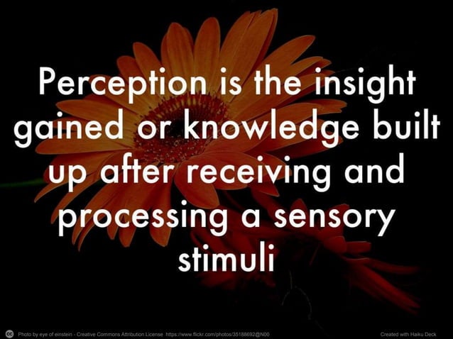 Visual perception- perceptional problems and learning disability | PPTX