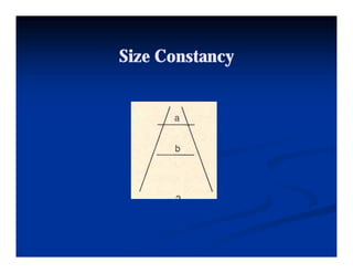 Size Constancy Illusion