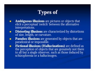 Visual Paradox Examples