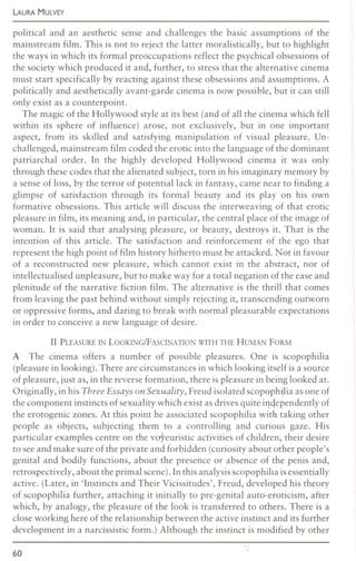 Visual pleasure-and-narrative-style | PDF