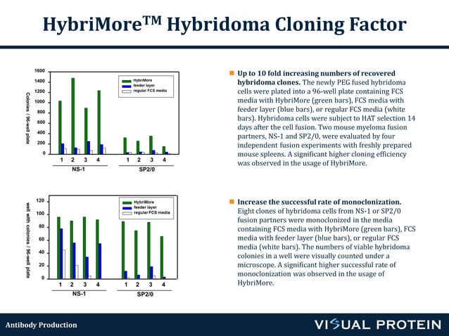 visual-protein-product-2015.pdf