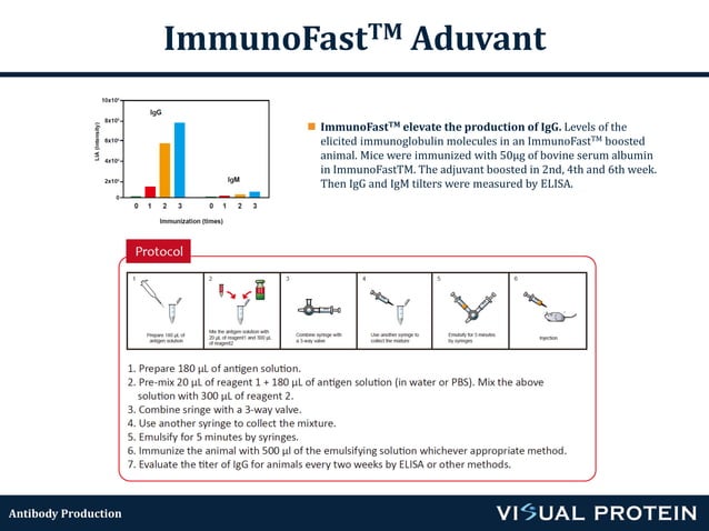 visual-protein-product-2015.pdf