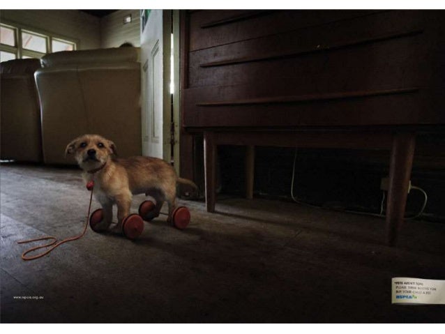 Intro to Visual Rhetoric