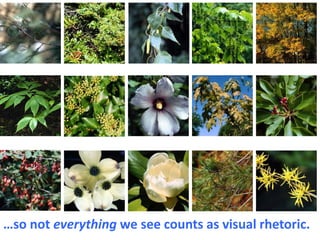 Intro to Visual Rhetoric | PPTX