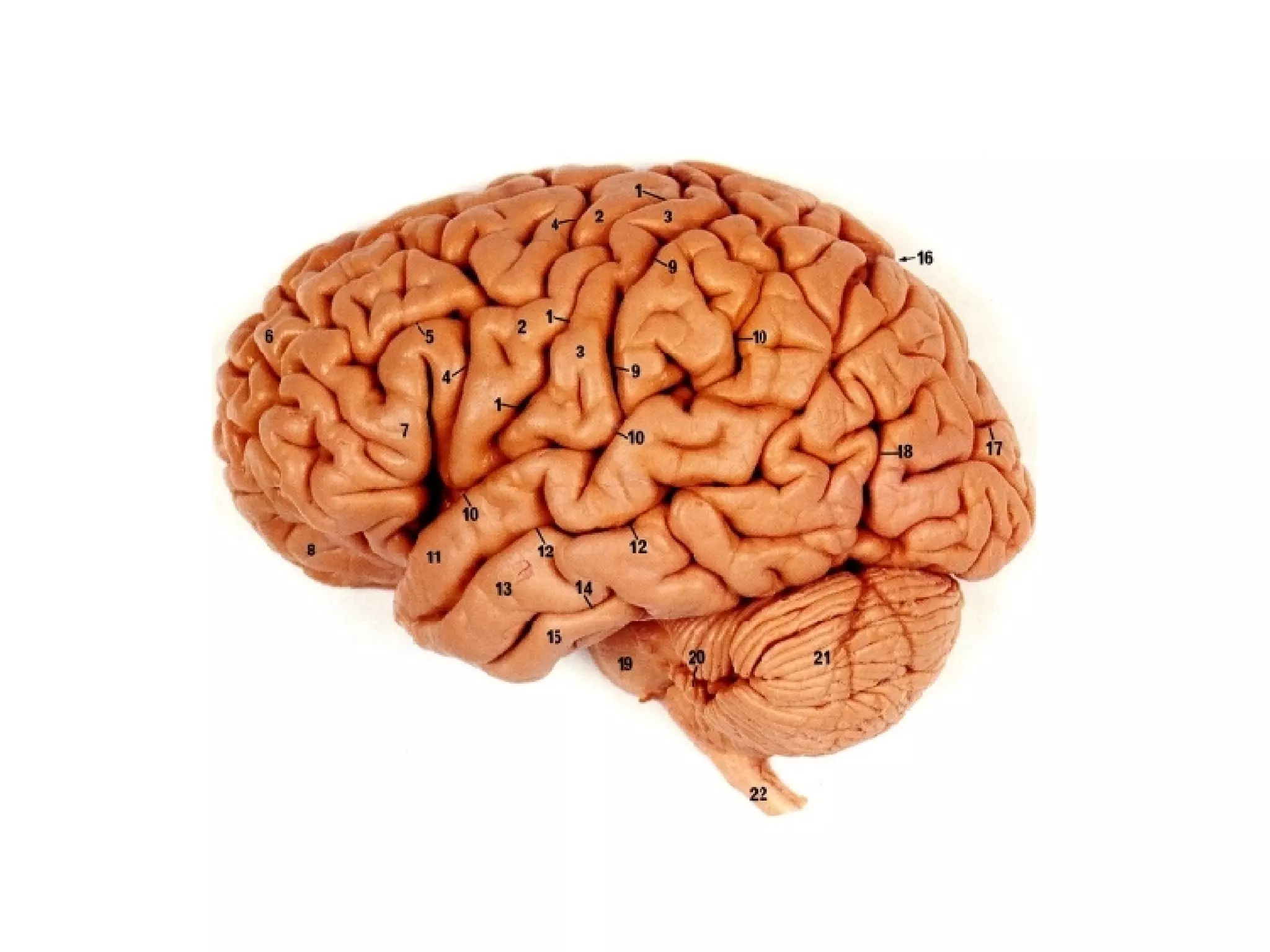 visual schematic | PPT