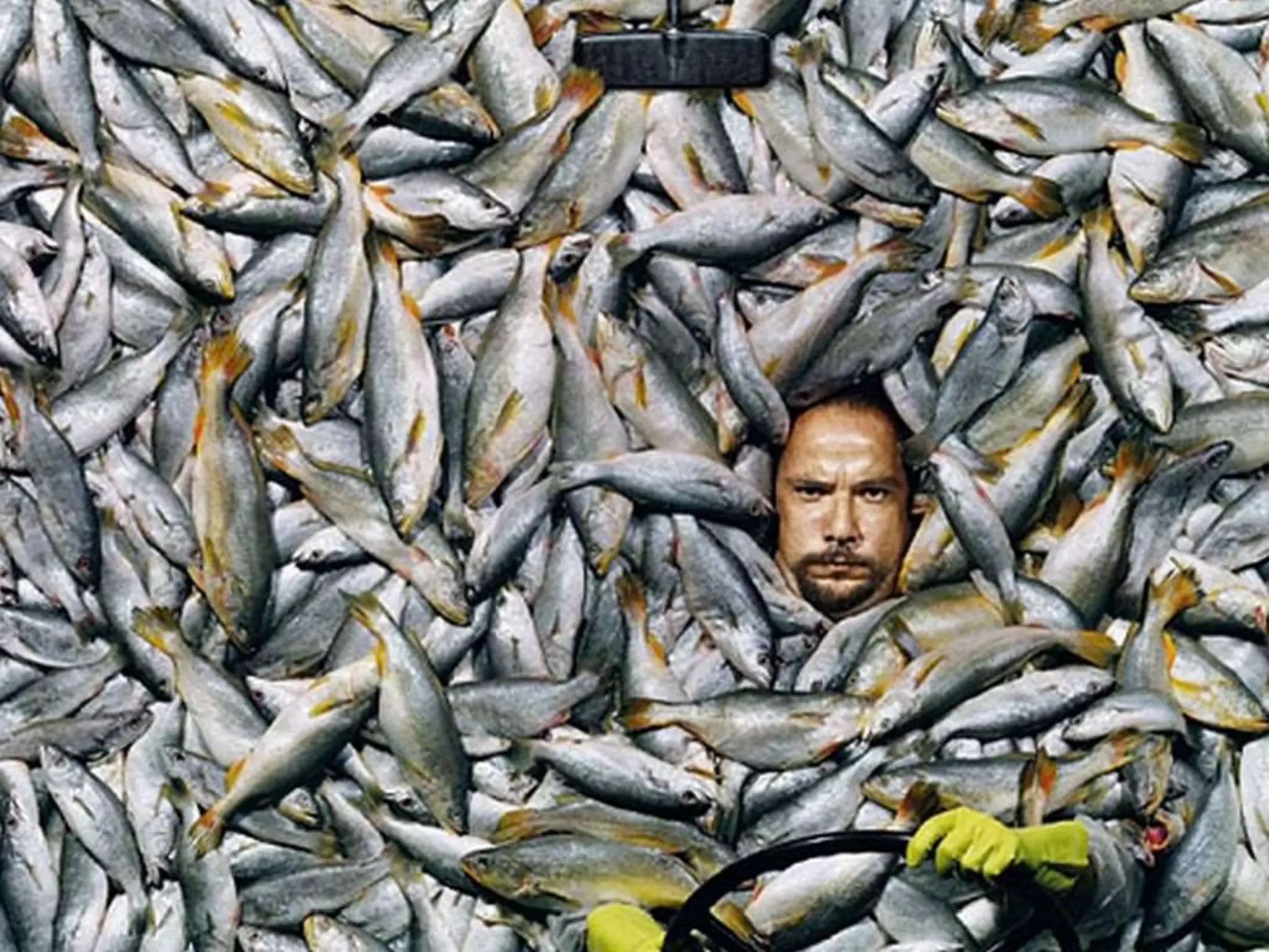 Visual tension | PPT