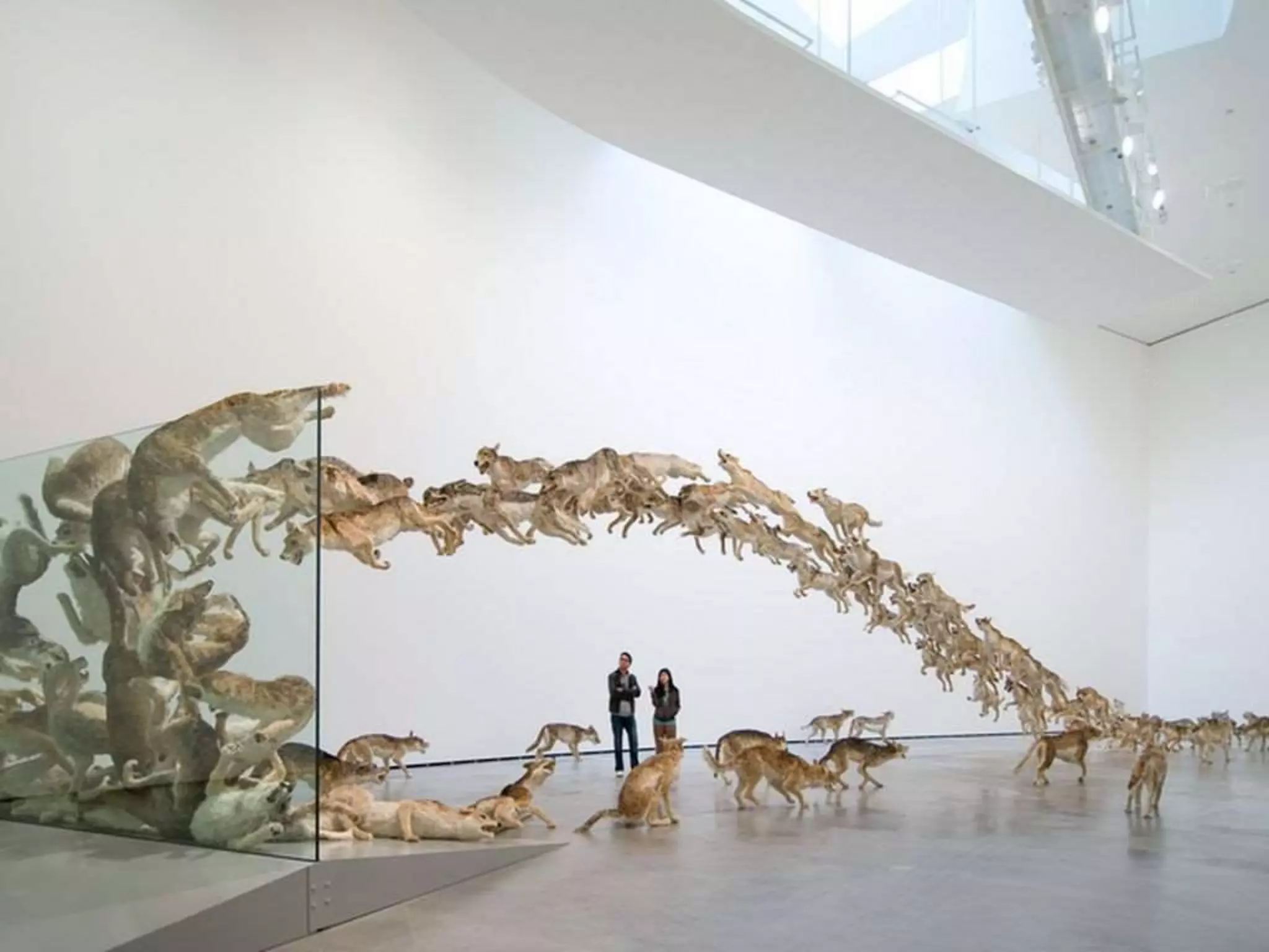 Visual tension | PPT