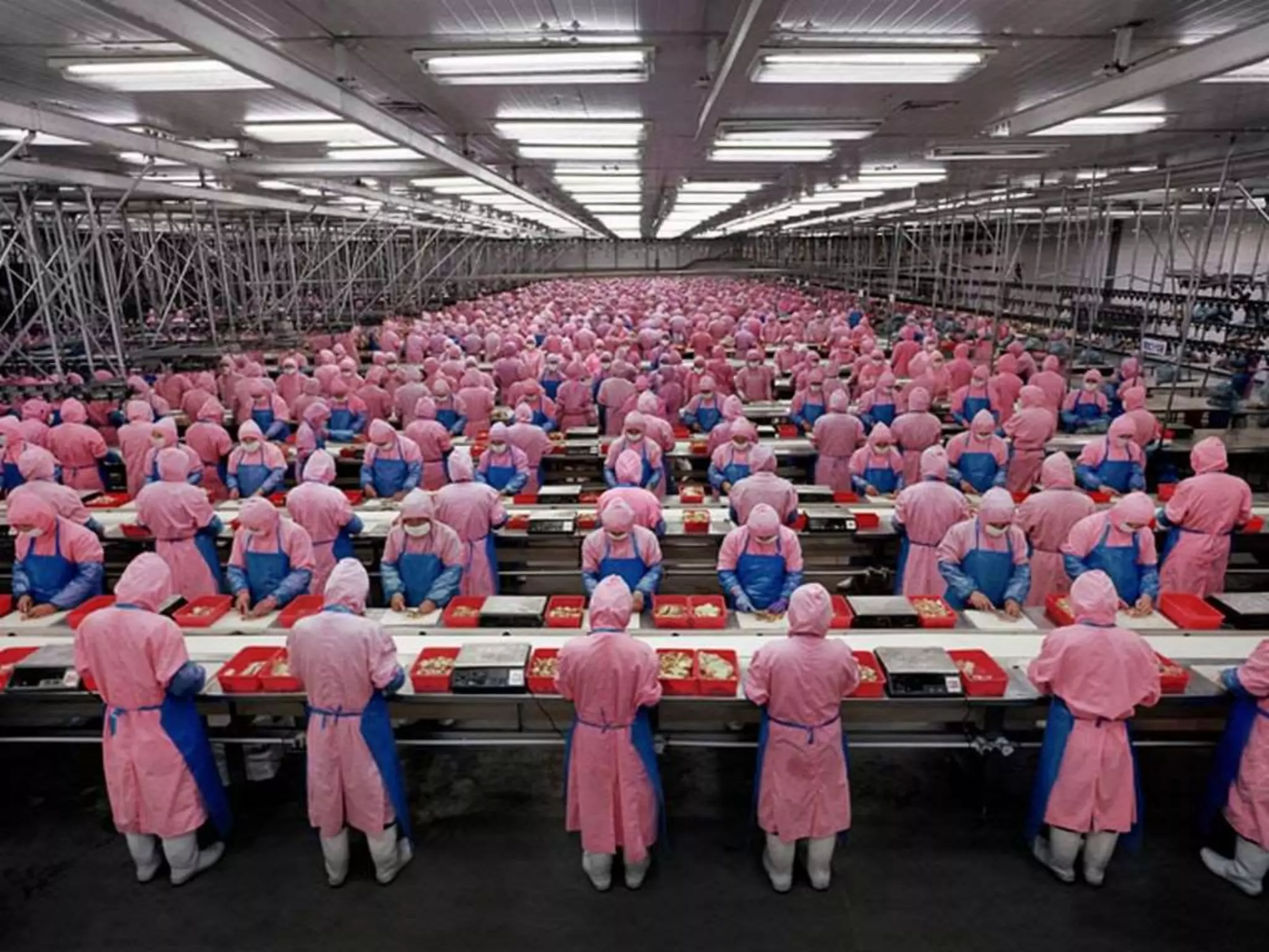 Visual tension | PPT