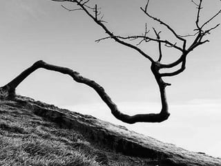 Visual tension | PPTX