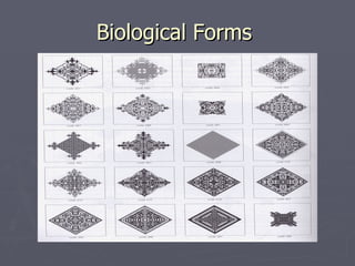 Visual Form | PPT | Biological Sciences | Science