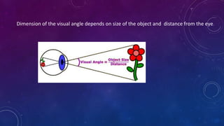 visualacuity-180702123916.pdf