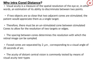 Visual Acuity.pdf