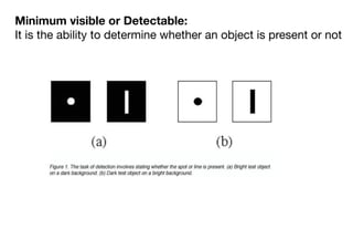 Visual Acuity.pdf
