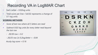 VISUAL ACUITY , Basics of vision assessment | PPTX