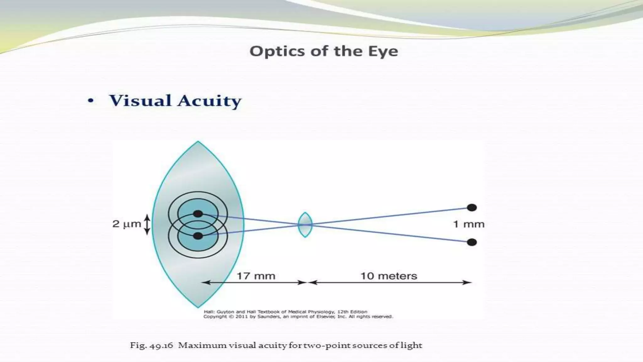Visual acuity special Senses Physiology | PPTX