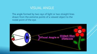 Visual acuity special Senses Physiology | PPTX