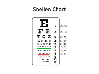 Visual Acuity .pptx | Eye and Vision Conditions | Diseases and Conditions