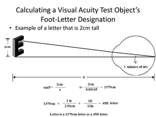 Visual Acuity .pptx | Eye and Vision Conditions | Diseases and Conditions