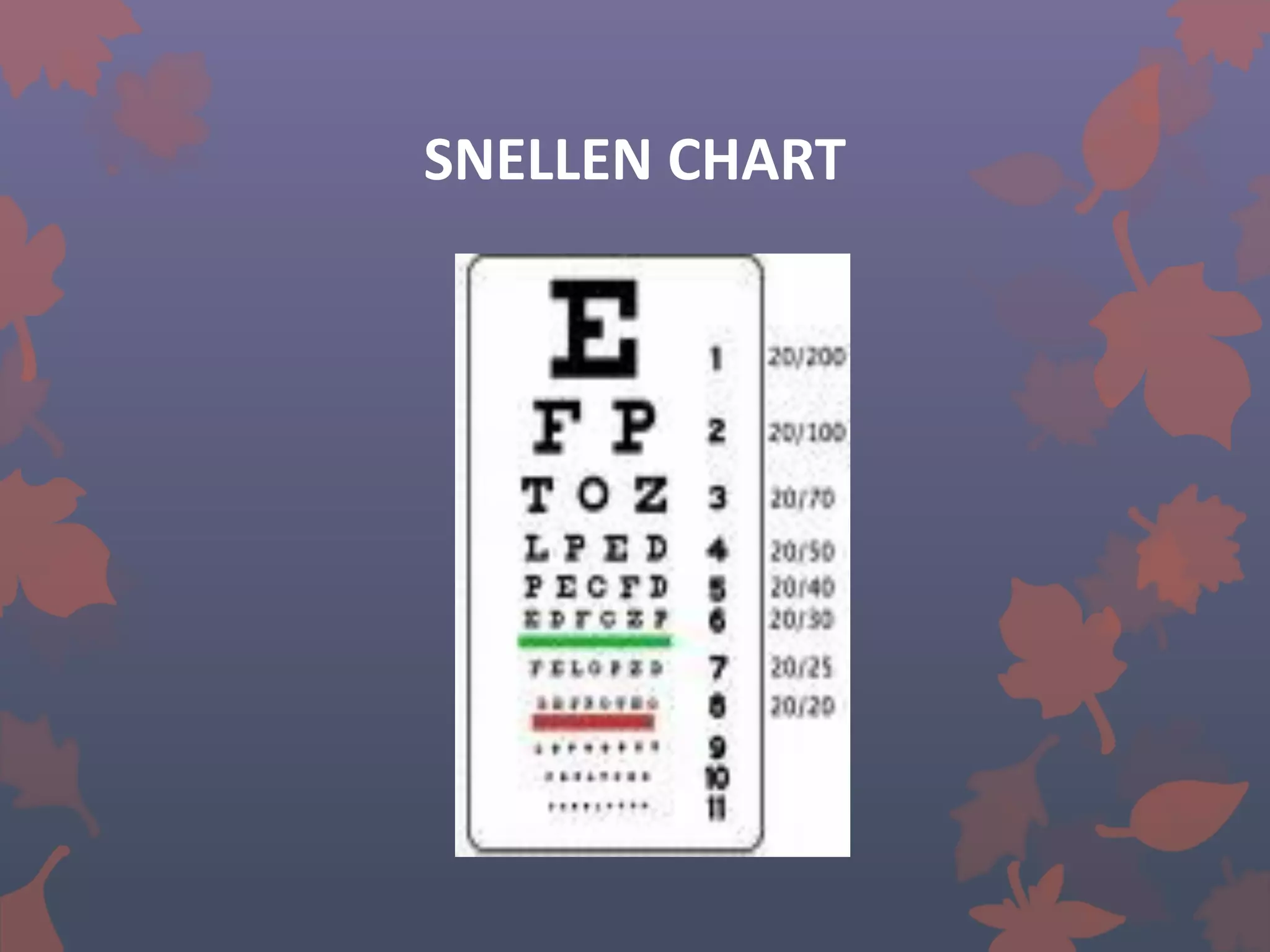 Visual Acuity Assessment.pdf