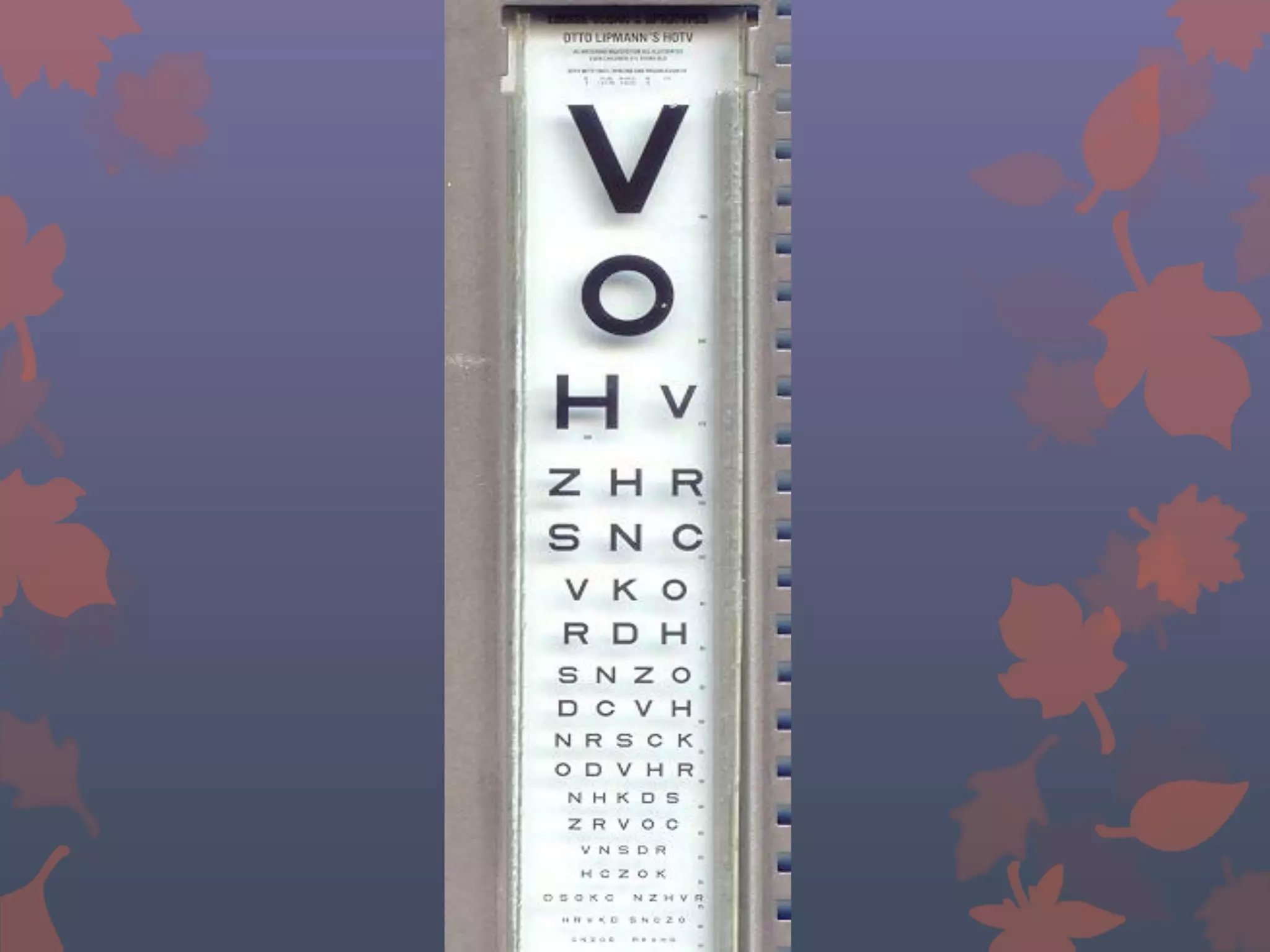 Visual Acuity Assessment.pdf