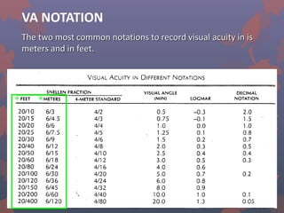 Visual Acuity Assessment.pdf
