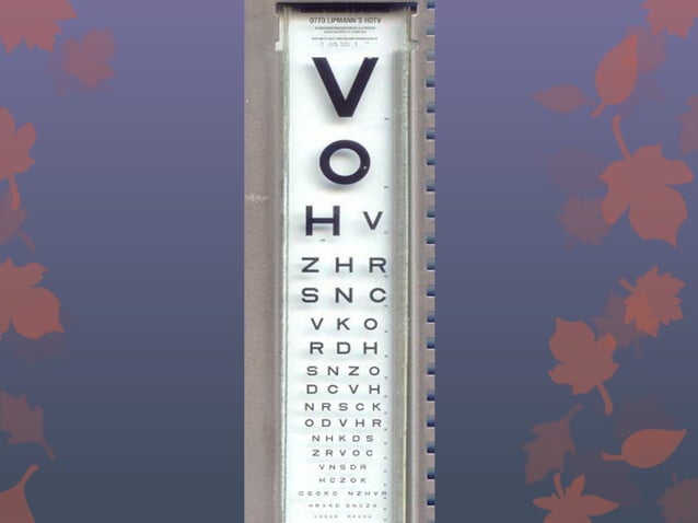Visual Acuity Assessment.pdf | Eye and Vision Conditions | Diseases and ...