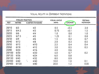 Visual Acuity Assessment.pdf
