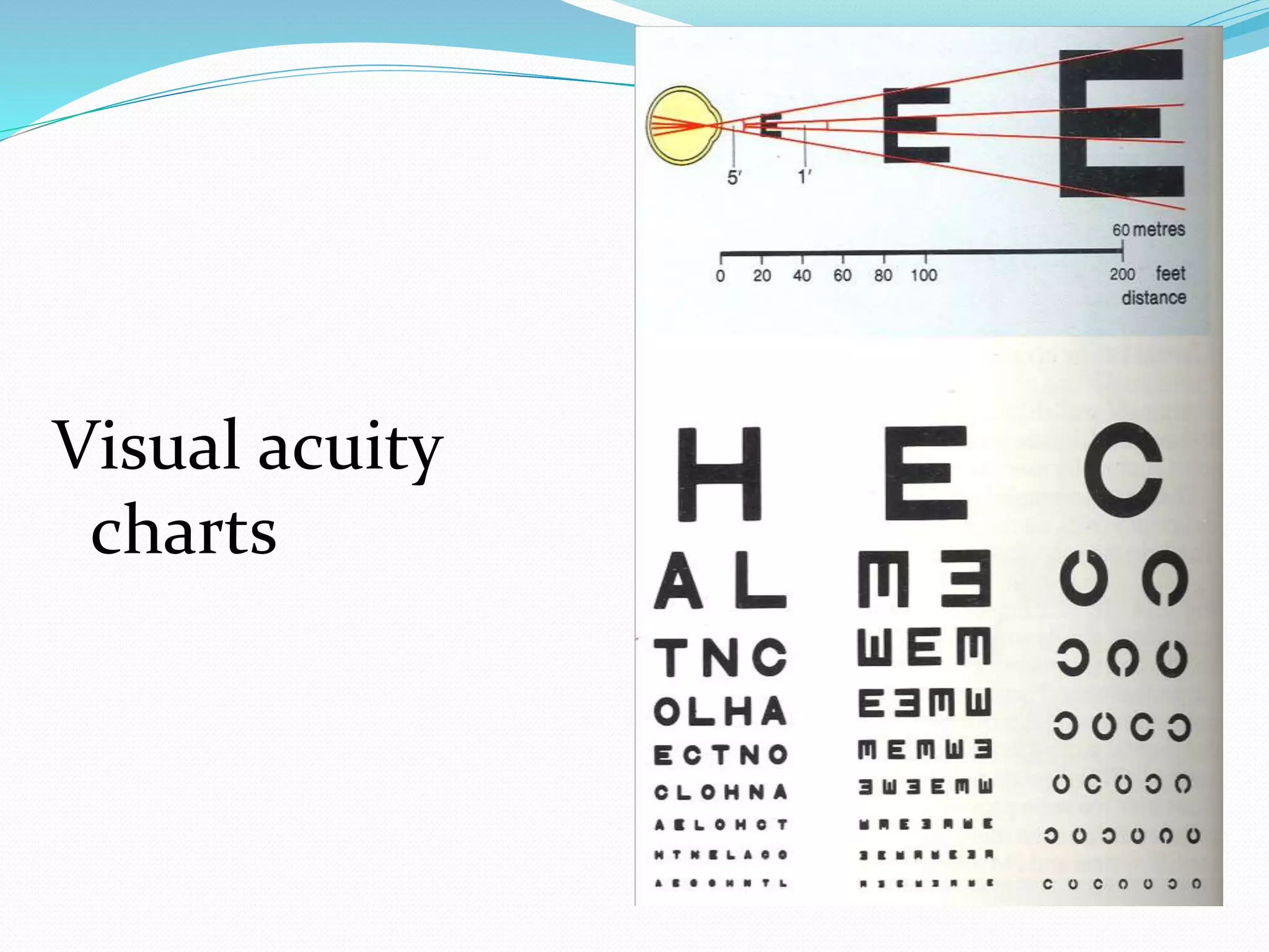 Visual acuity & colour vision | PPTX