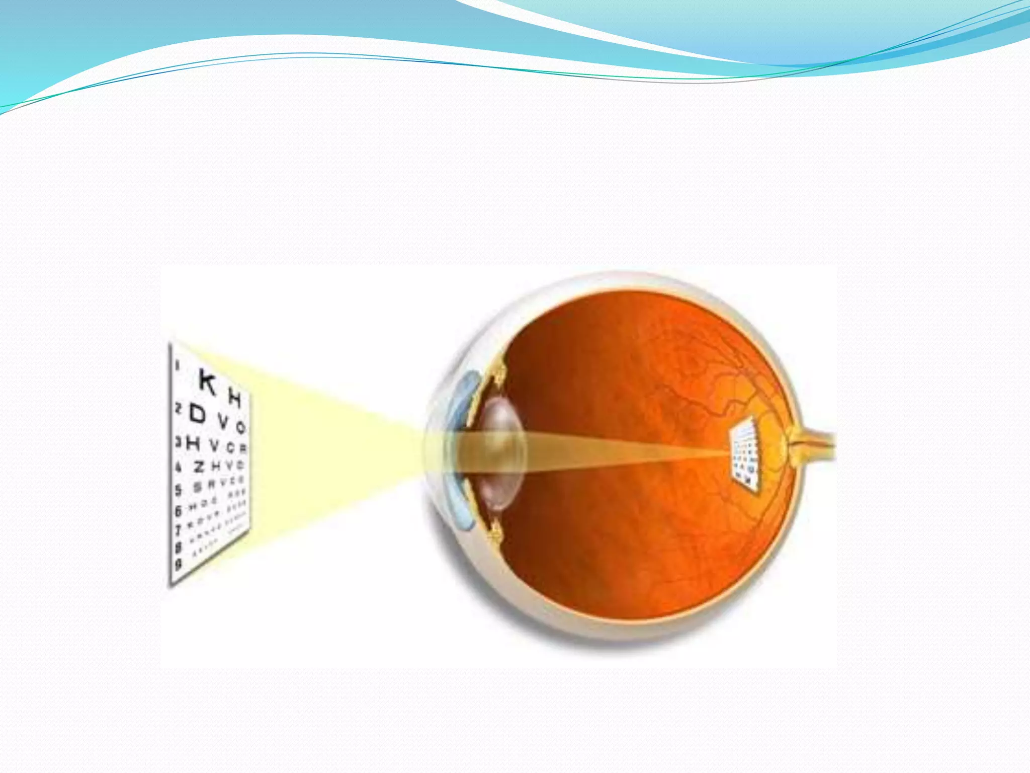 Visual acuity & colour vision | PPTX