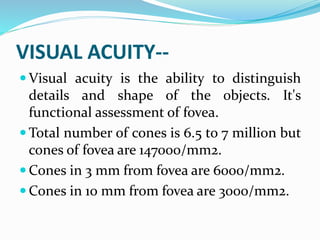Visual acuity & colour vision | PPTX