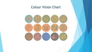 Visual acuity examination(adult) Update (1).pptx