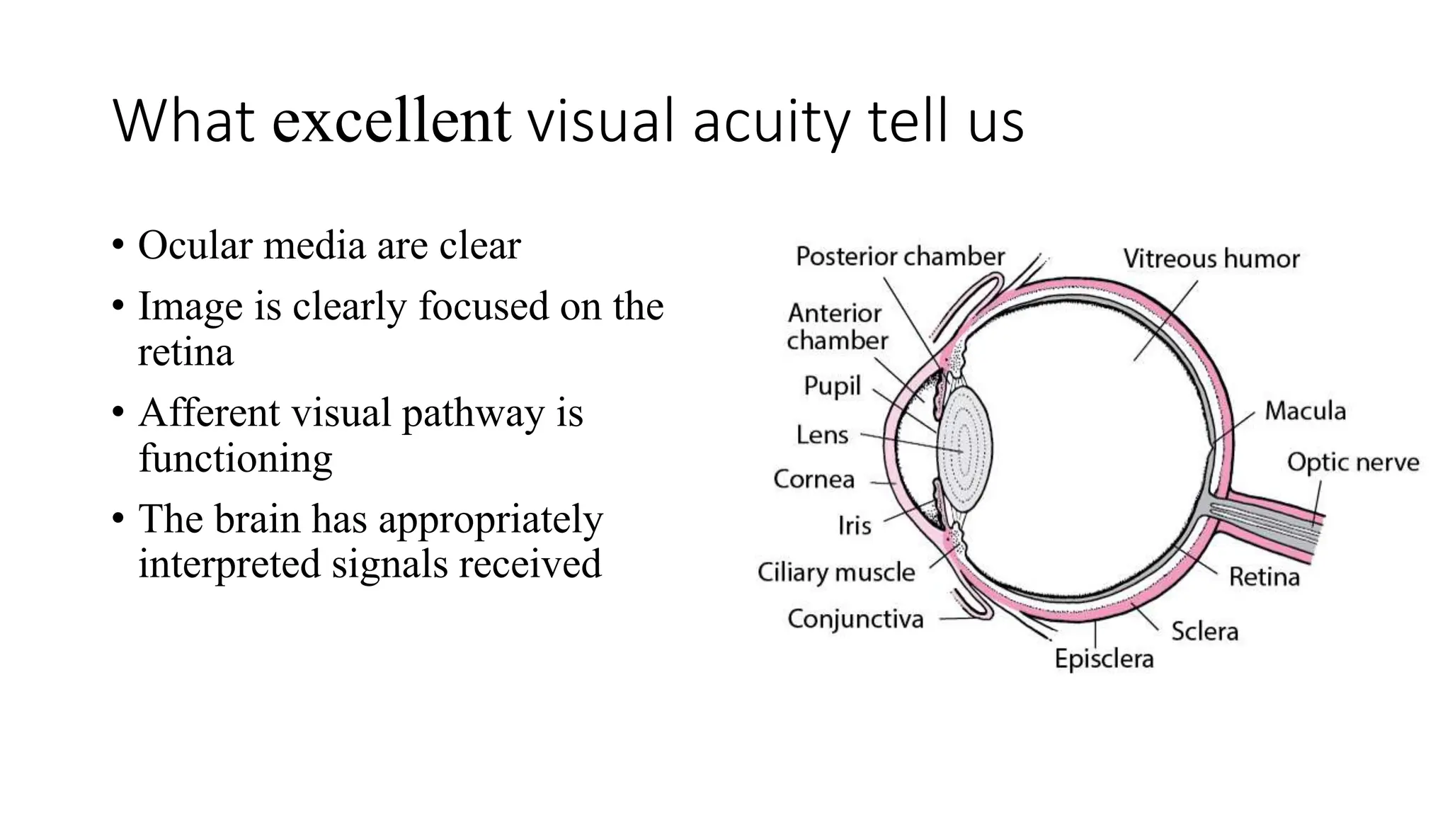 Visual Acuity and Its Importance in life | PPTX
