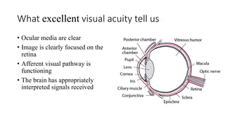 Visual Acuity and Its Importance in life | PPTX | Eye and Vision ...