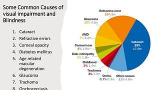 Visual Acuity and Its Importance in life | PPTX