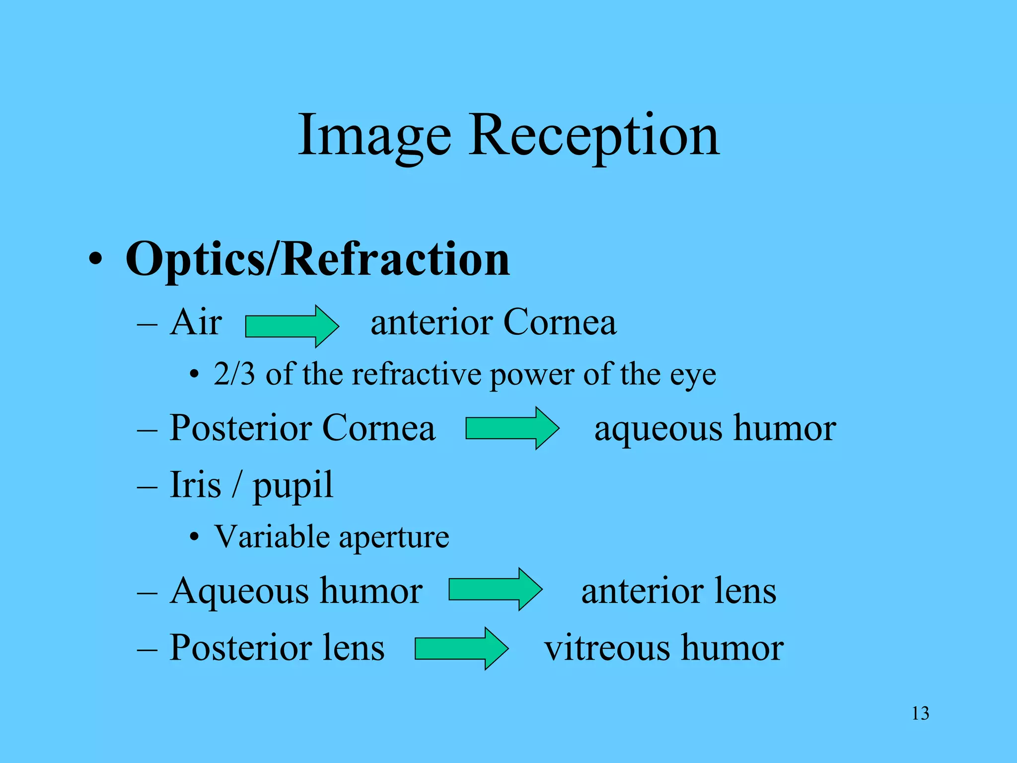 Visual Acuity & Refractive Errors.ppt