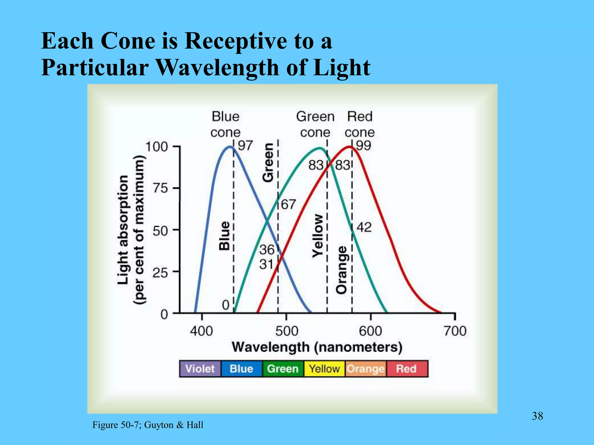 Visual Acuity & Refractive Errors.ppt