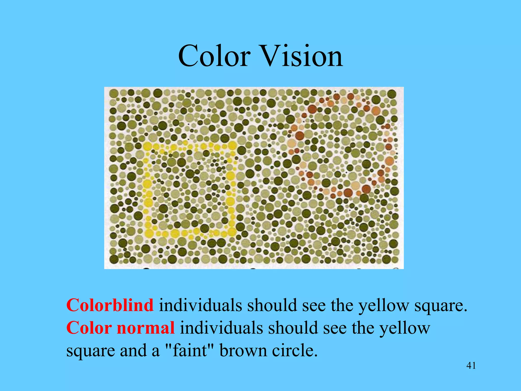 Visual Acuity & Refractive Errors.ppt