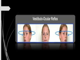 Visual acuity test in infants | PPTX