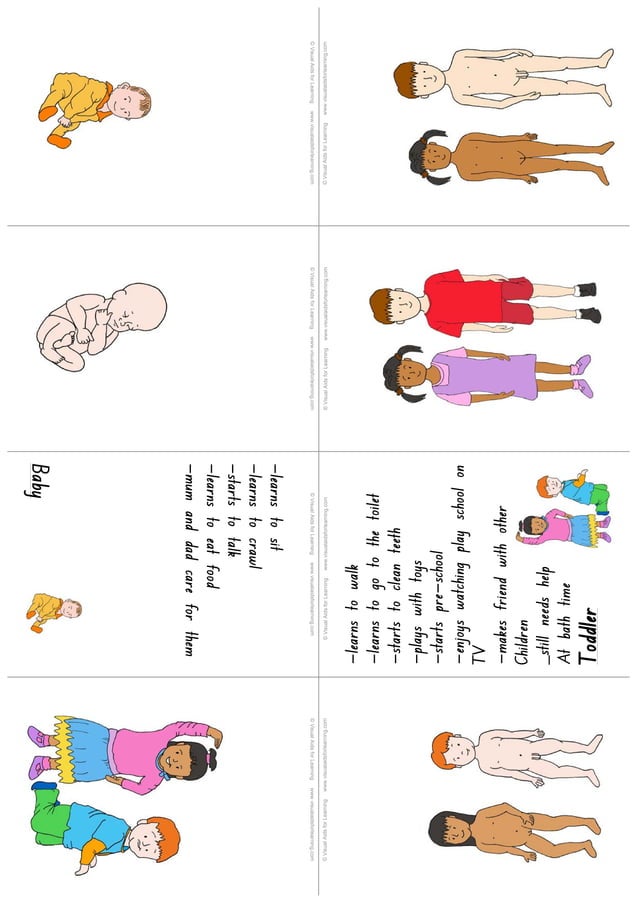 Visual aids adolescent_body_8_images_per_page | PDF