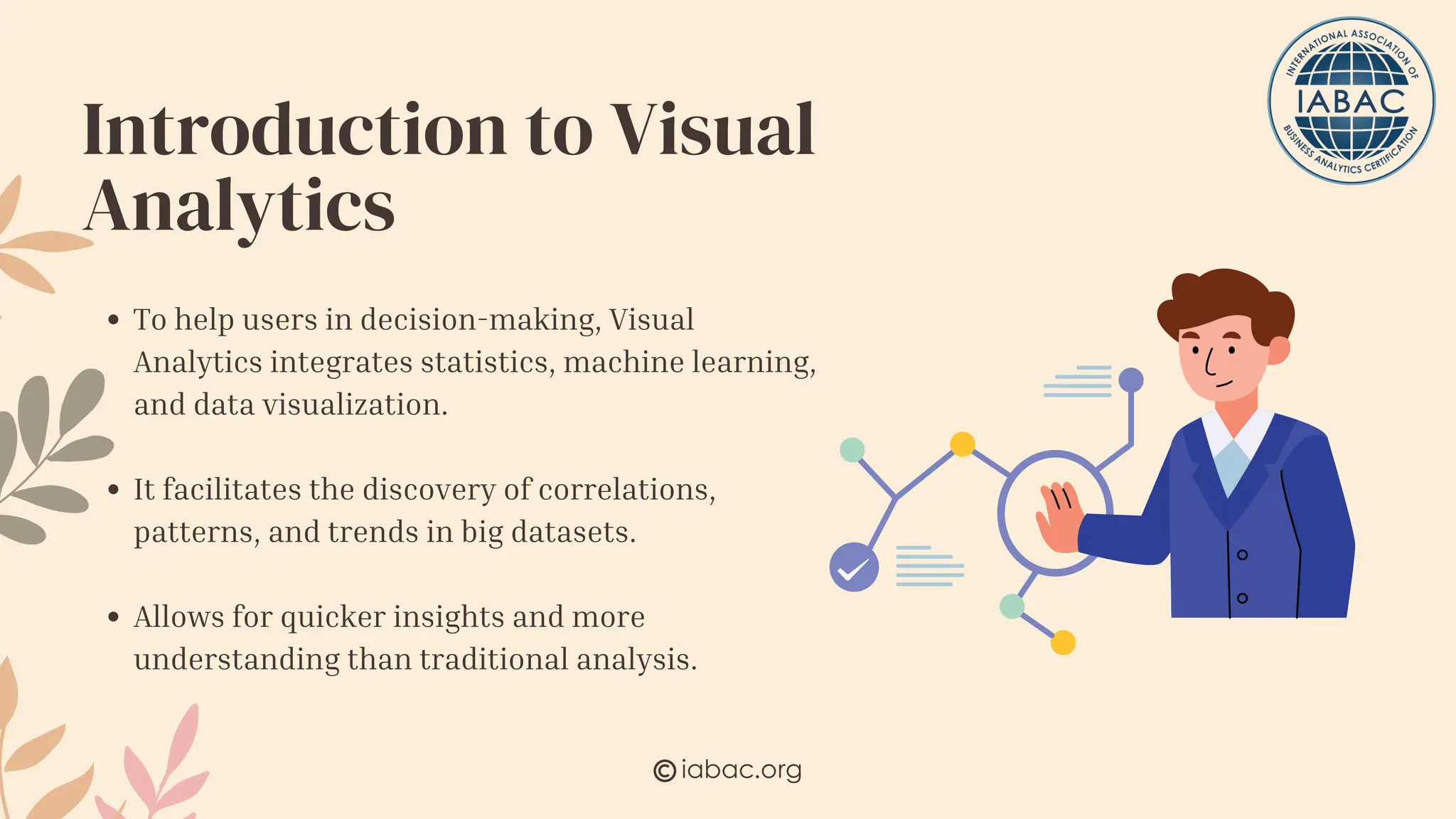 What is Visual Analytics | IABAC Certification | PDF