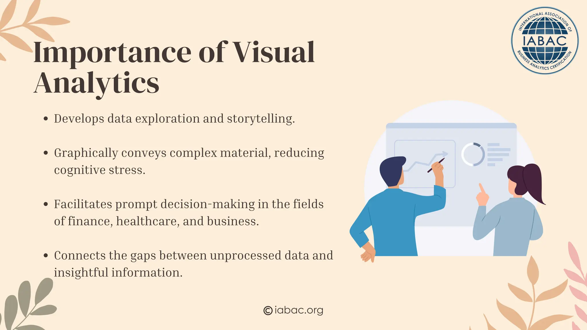 What is Visual Analytics | IABAC Certification | PDF