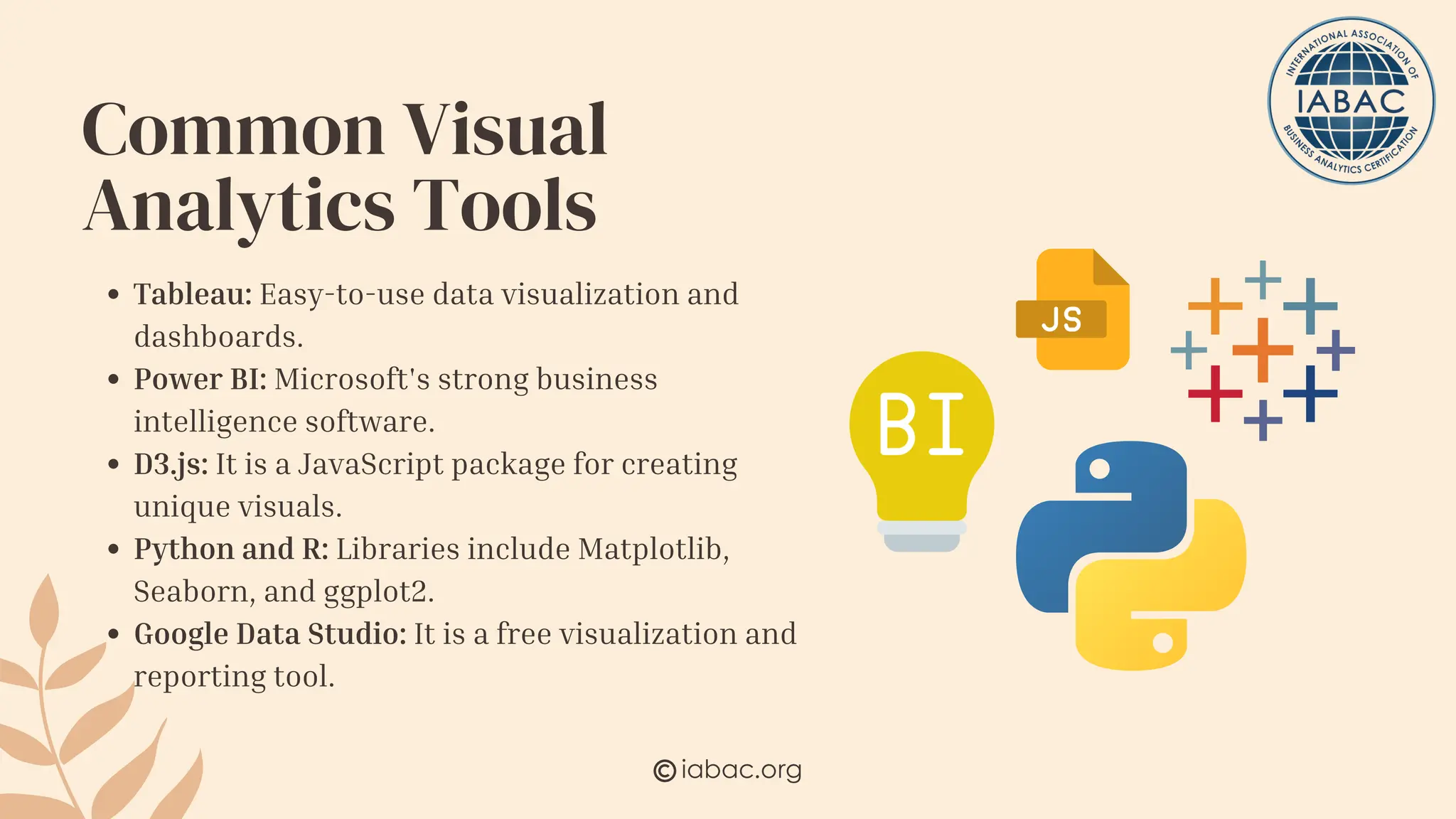 What is Visual Analytics | IABAC Certification | PDF