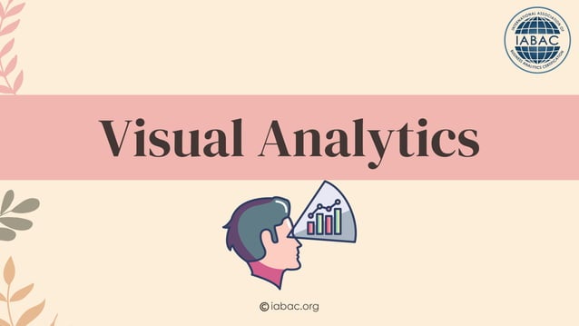What is Visual Analytics | IABAC Certification | PDF