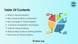 Visual Analytics for Beginners | IABAC | PDF