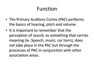 Visual and auditory cortex | PPTX