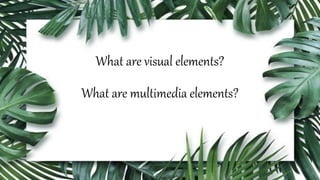 Visual and multimedia Elements | PPTX