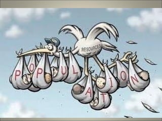 Revised Visual Argument Show | PPT